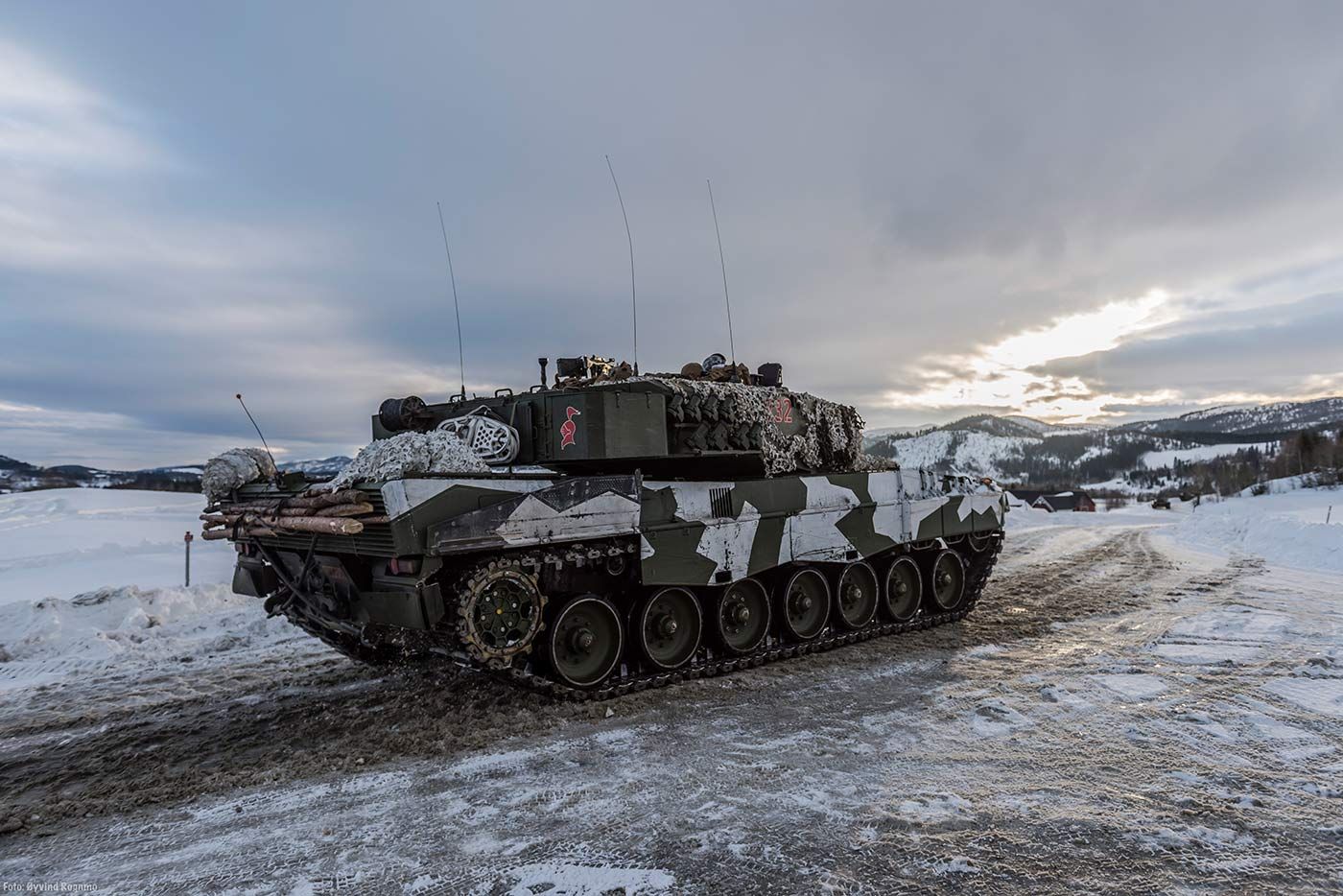 LEOPARD A7 NO - purchased | SPARTANAT