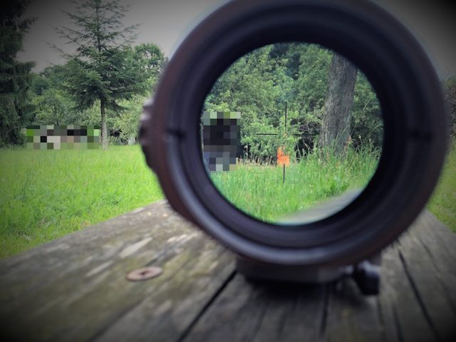 REVIEW: Raytheon ELCAN Specter Dr 1x/4x | SPARTANAT