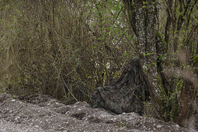 We see dark: CONCAMO Dark | SPARTANAT