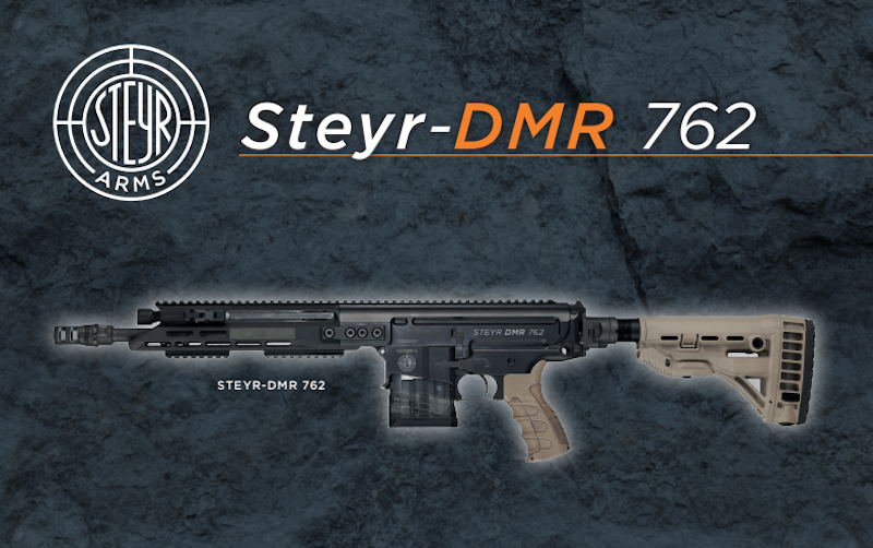 STEYR ARMS landet im AR1-10 Universum - SPARTANAT